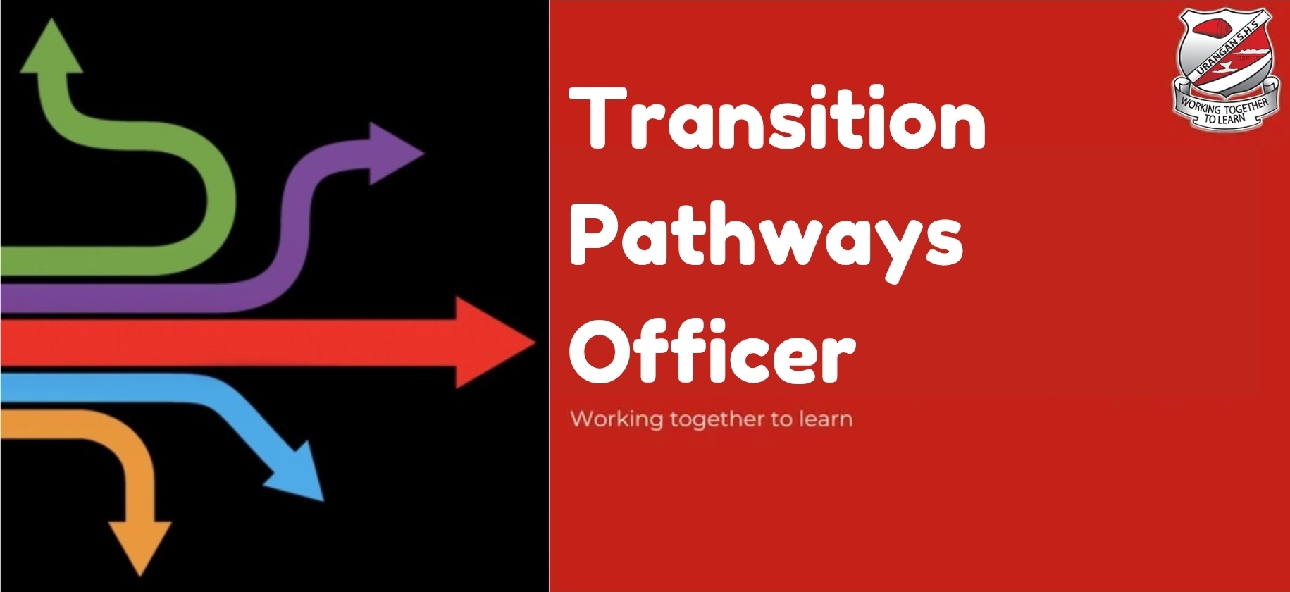 Transition pathways officer.jpg